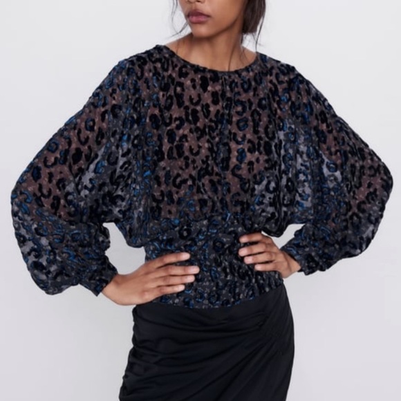 Zara | Tops | Zara Sheer Leopard Print Top M | Poshmark